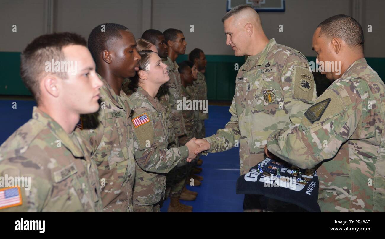 Georgia Army National Guard Command Sergeant Major Shawn D. Lewis ...