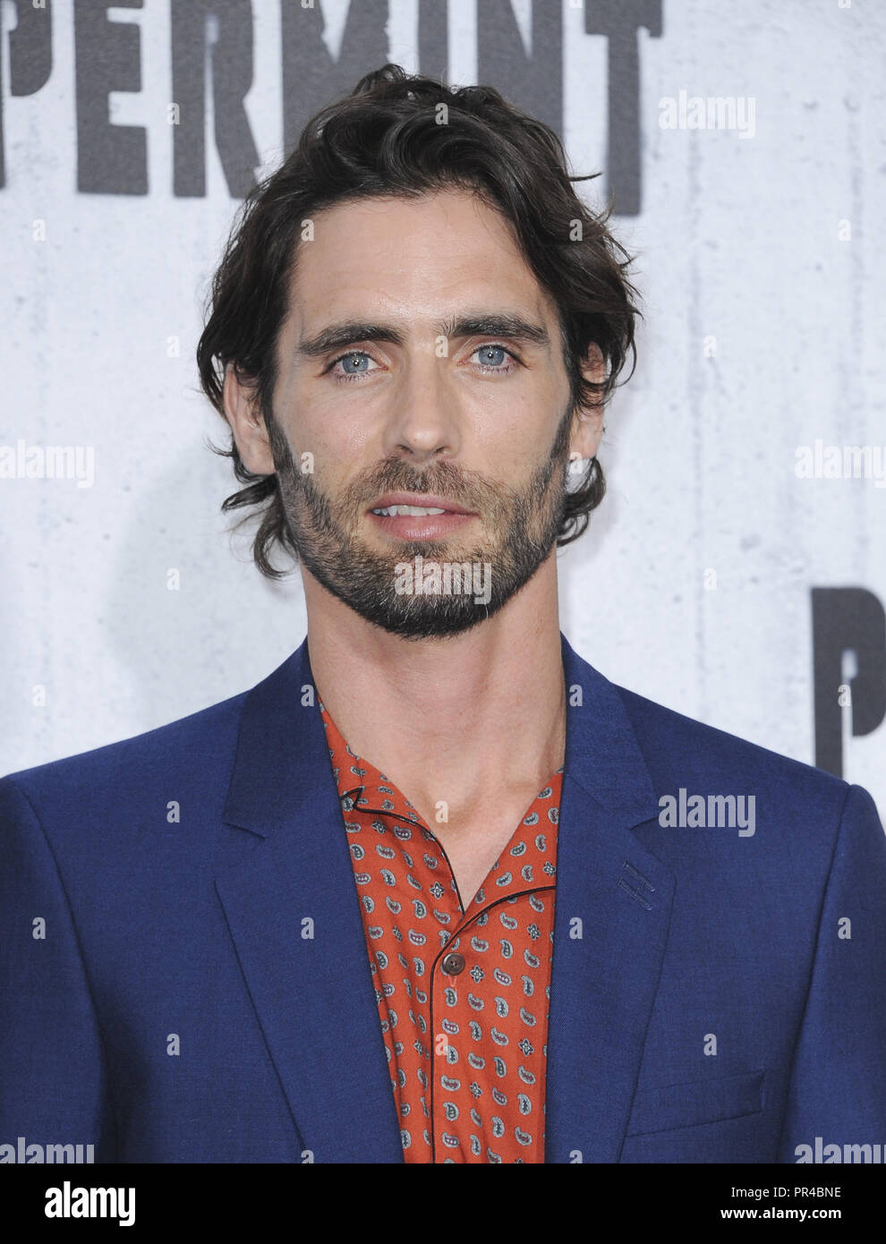 Los Angeles premiere of 'Peppermint' Featuring: Tyson Ritter Where: Los ...
