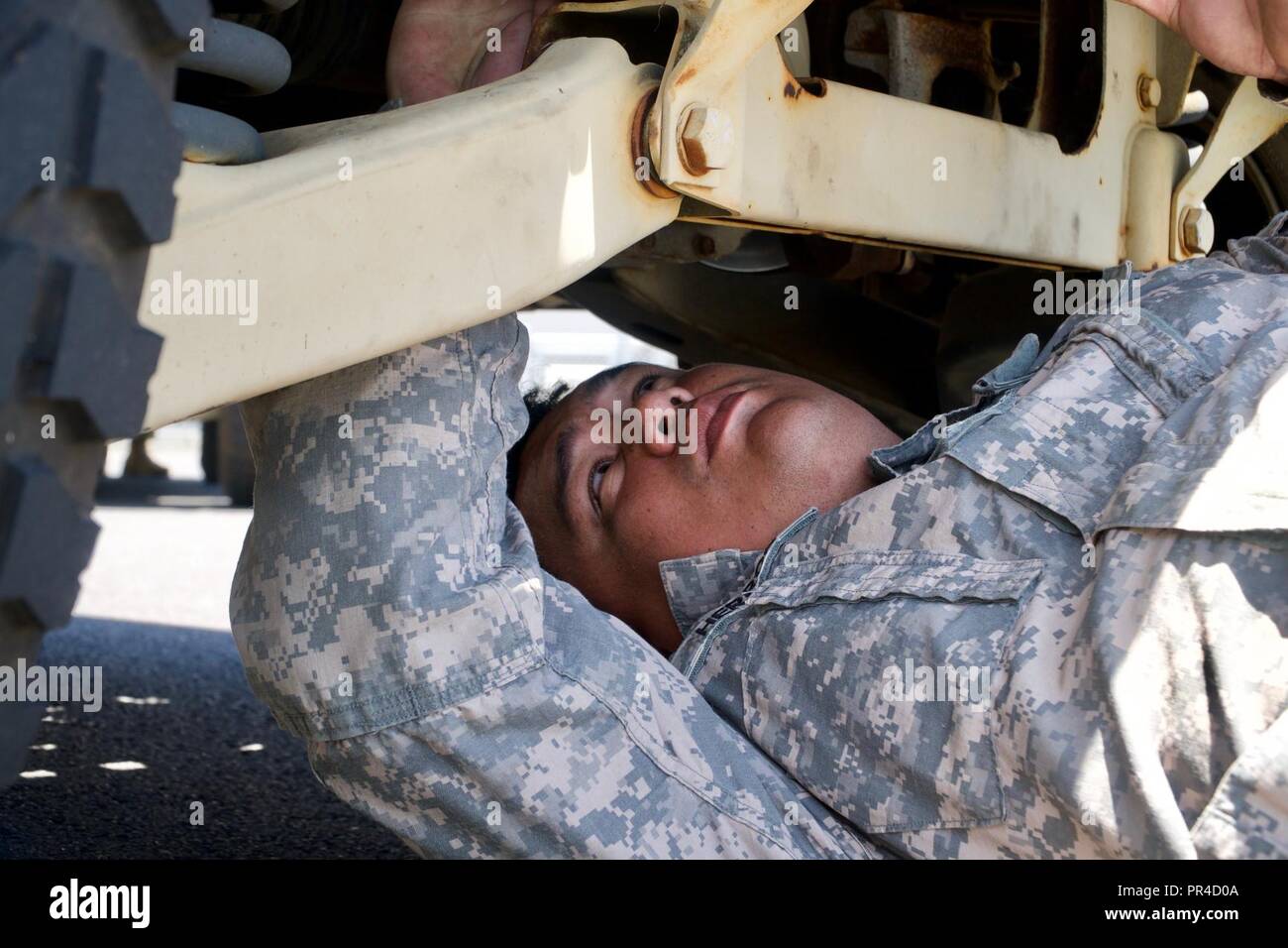299th cavalry regiment hi-res stock photography and images - Alamy