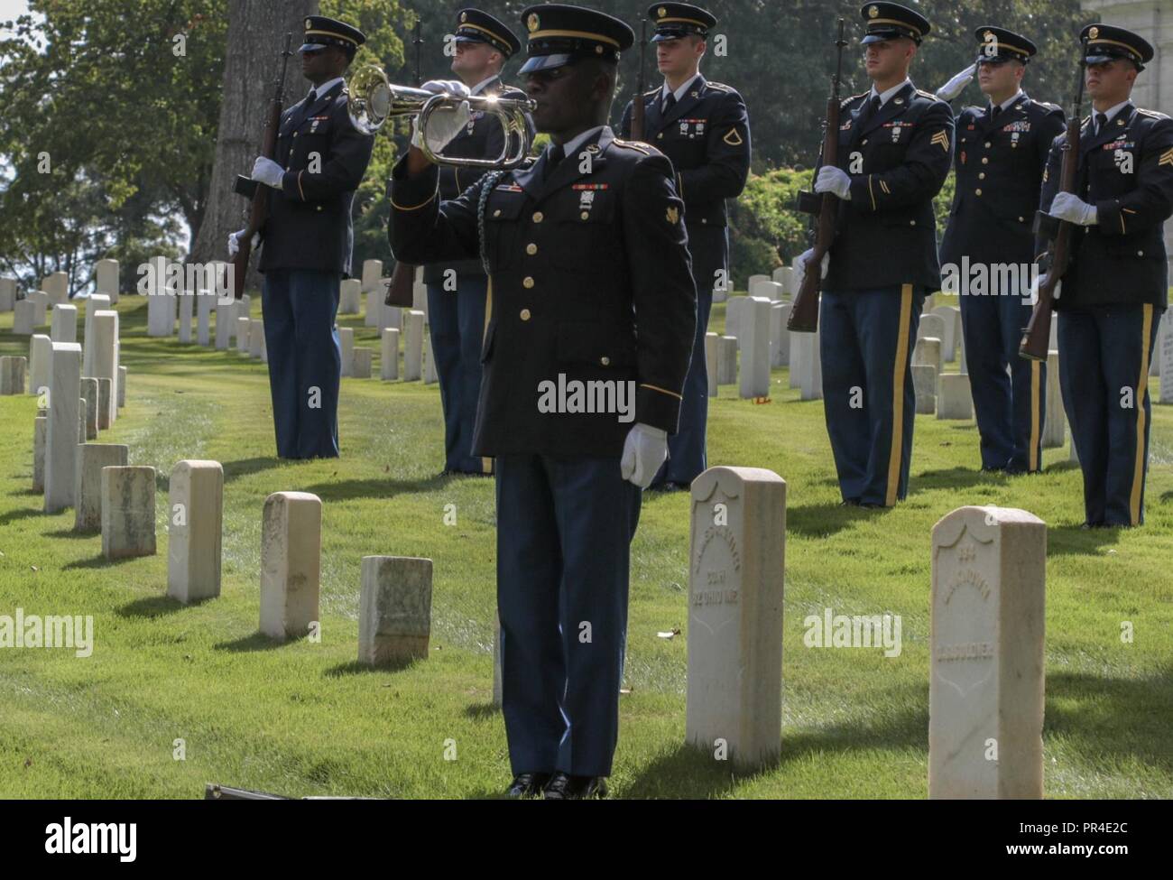 A member of the Georgia Army National Guard Military Funeral Honors ...