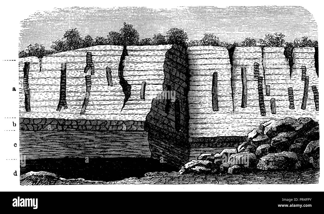 Stratification in the coal field of St. Etienne (France). a) Sandstone ...