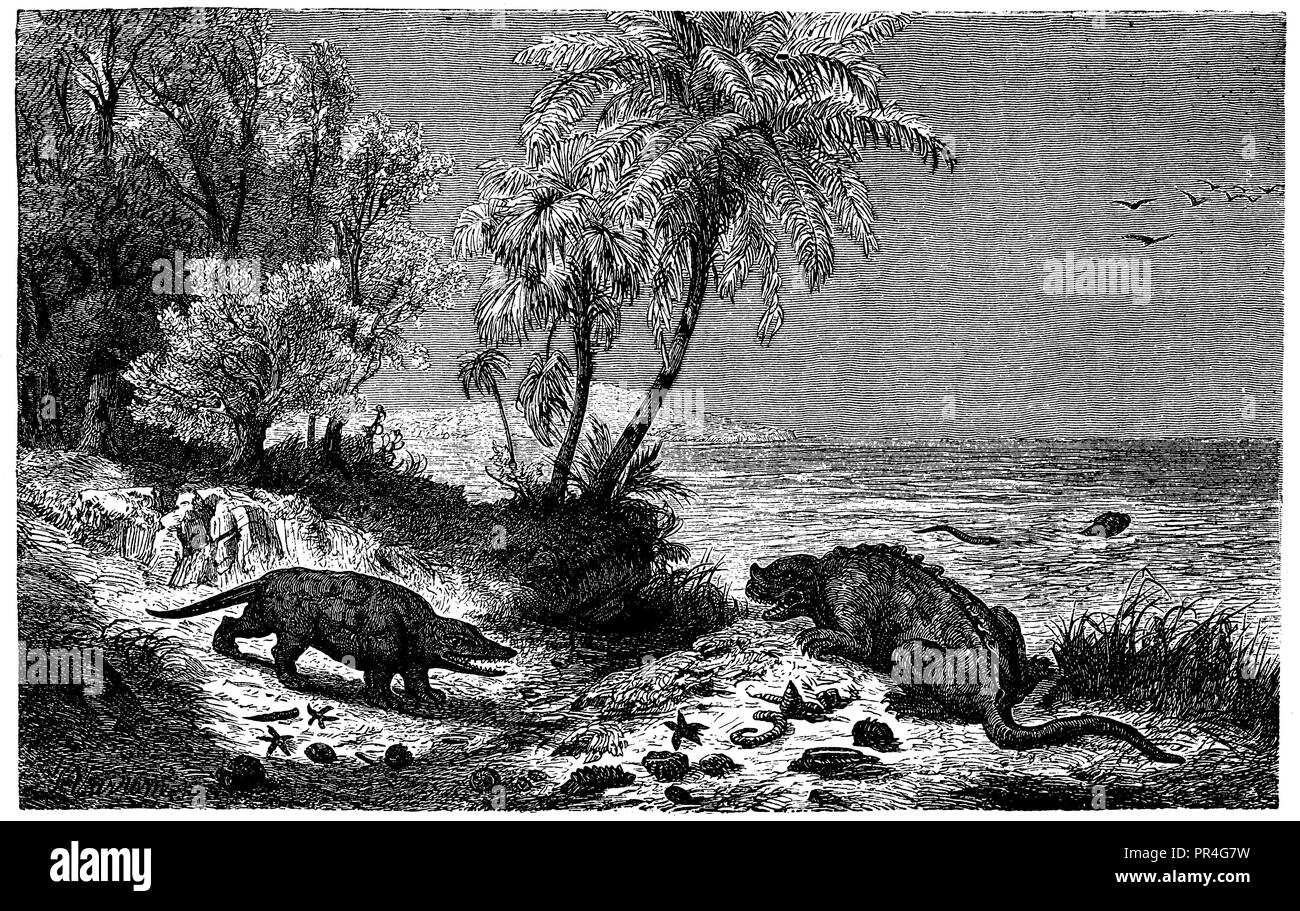 Chalk landscape Black and White Stock Photos & Images - Alamy