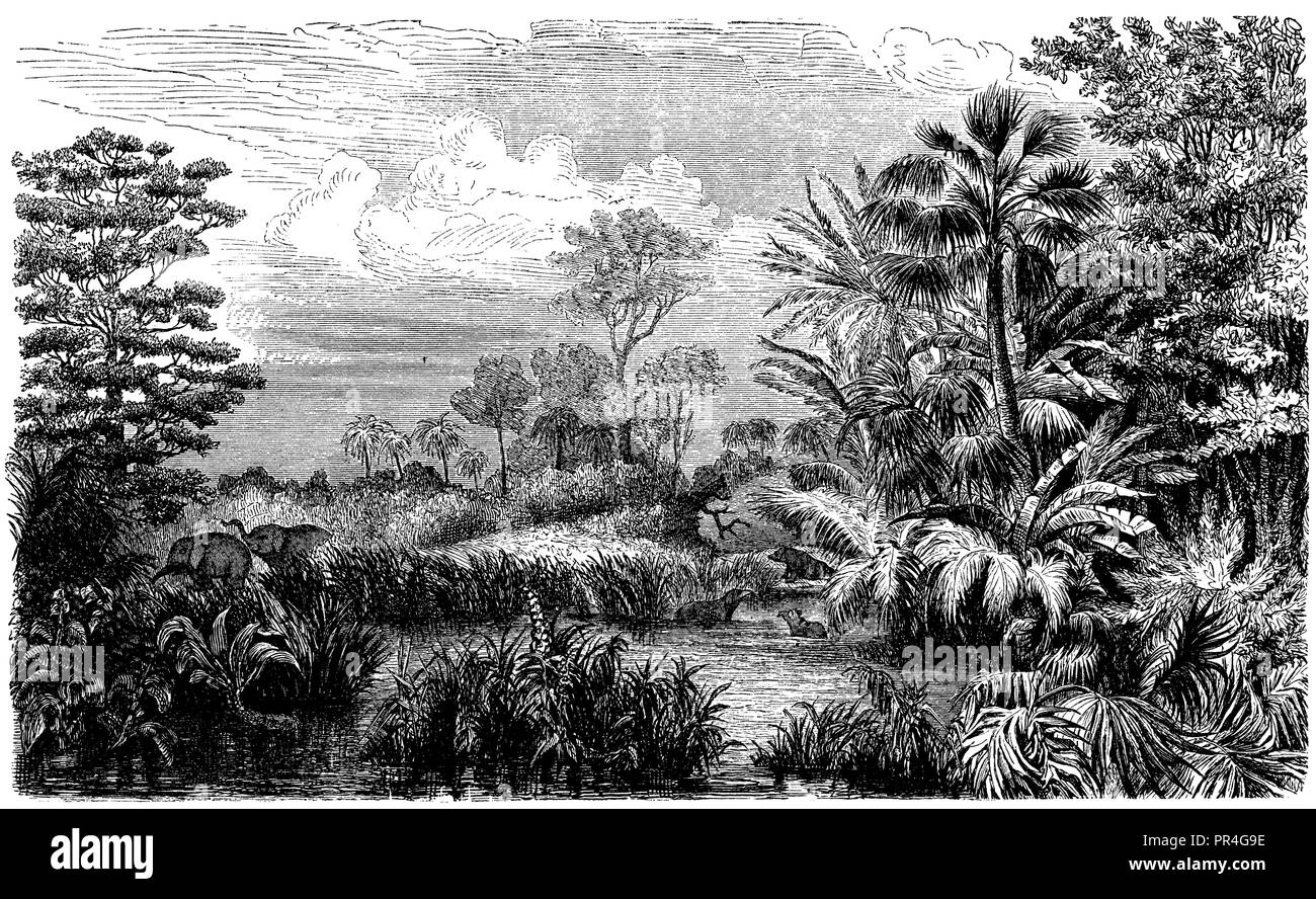 Early miocene hi-res stock photography and images - Alamy