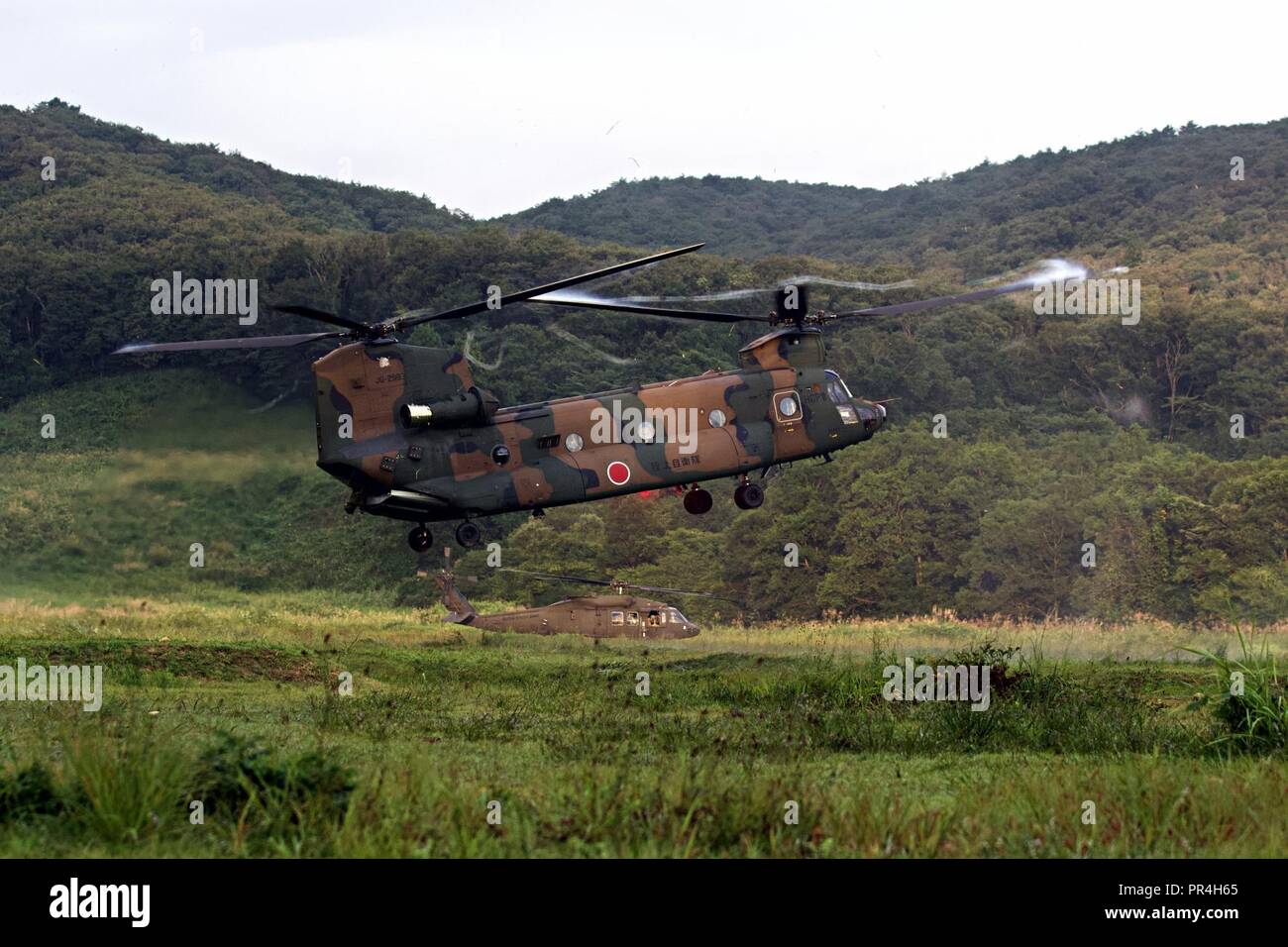 A Japanese CH-47 Chinook lands next to a U.S. Army UH-60 Blackhawk ...