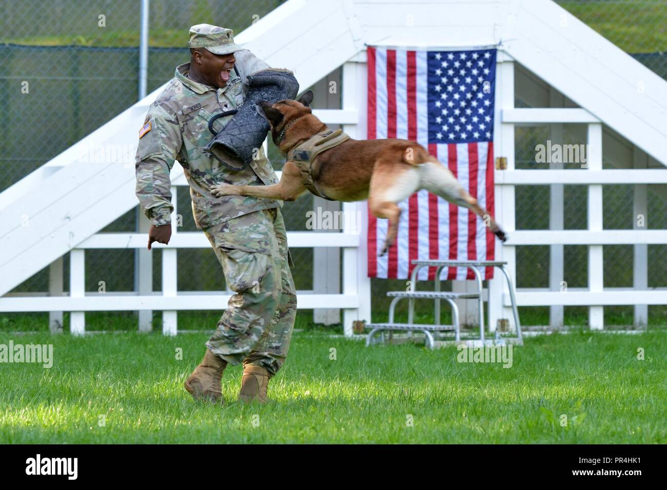 A U.S. Soldier assigned to the 100th Military Police Detachment, 18th ...