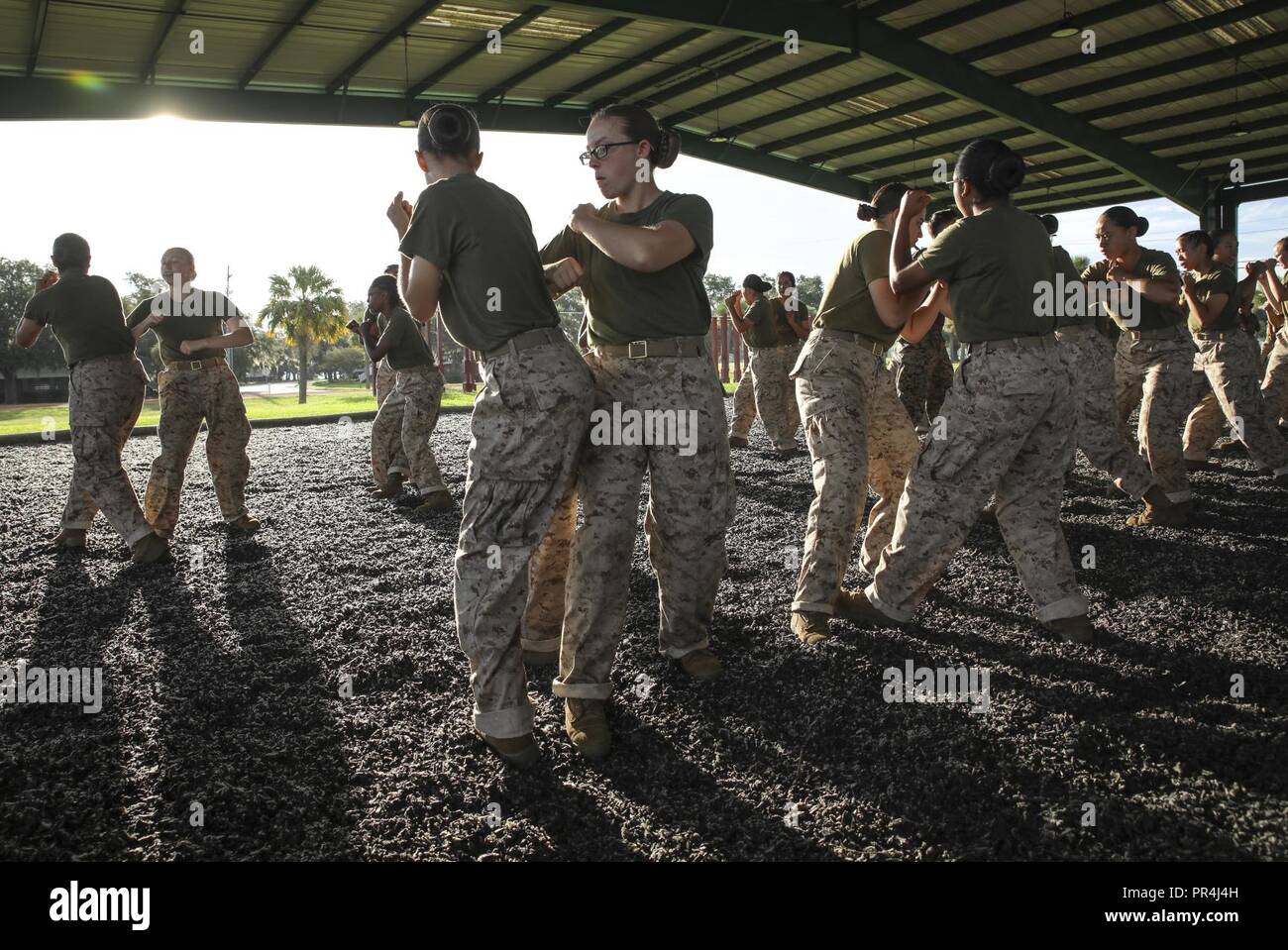 U.S. Marine Corps recruits with November Company, 4th Recruit Training ...
