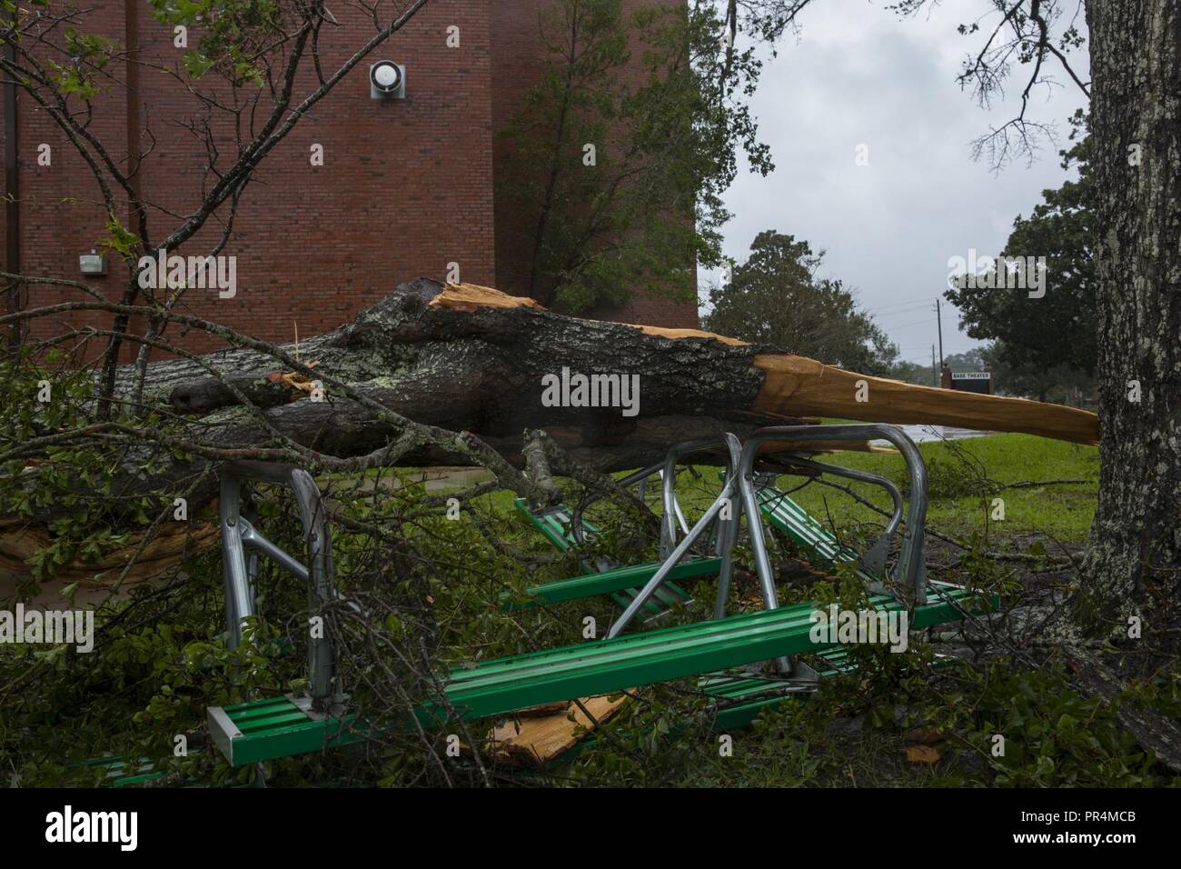 A tree fell outside base theater during Hurricane Florence, on Marine ...
