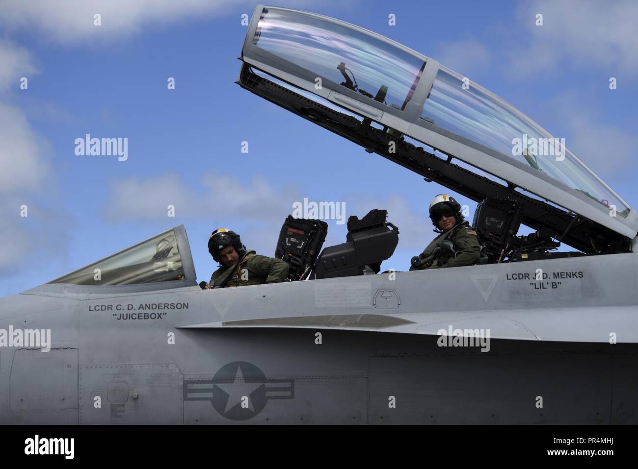 U.S. Navy E/A-18G Growler pilots assigned to the "Yellow Jackets" of ...