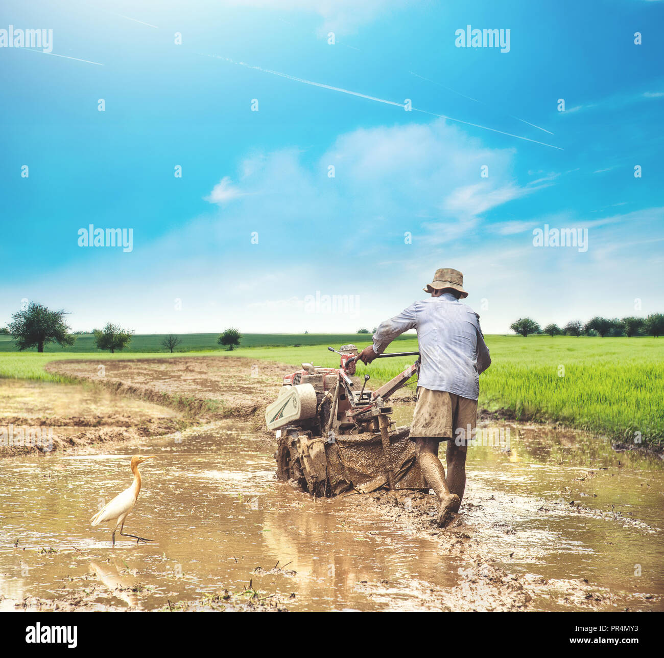 Hand tractor hi-res stock photography and images - Alamy