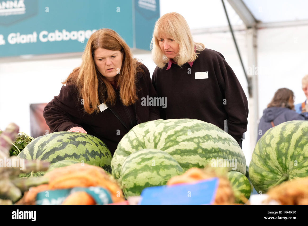 Huge melons hi-res stock photography and images - Alamy