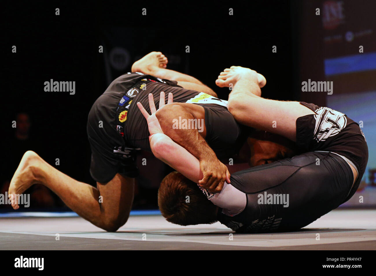 19055 hi-res stock photography and images - Alamy