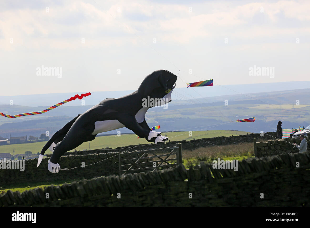 Giant cat kite hi-res stock photography and images - Alamy