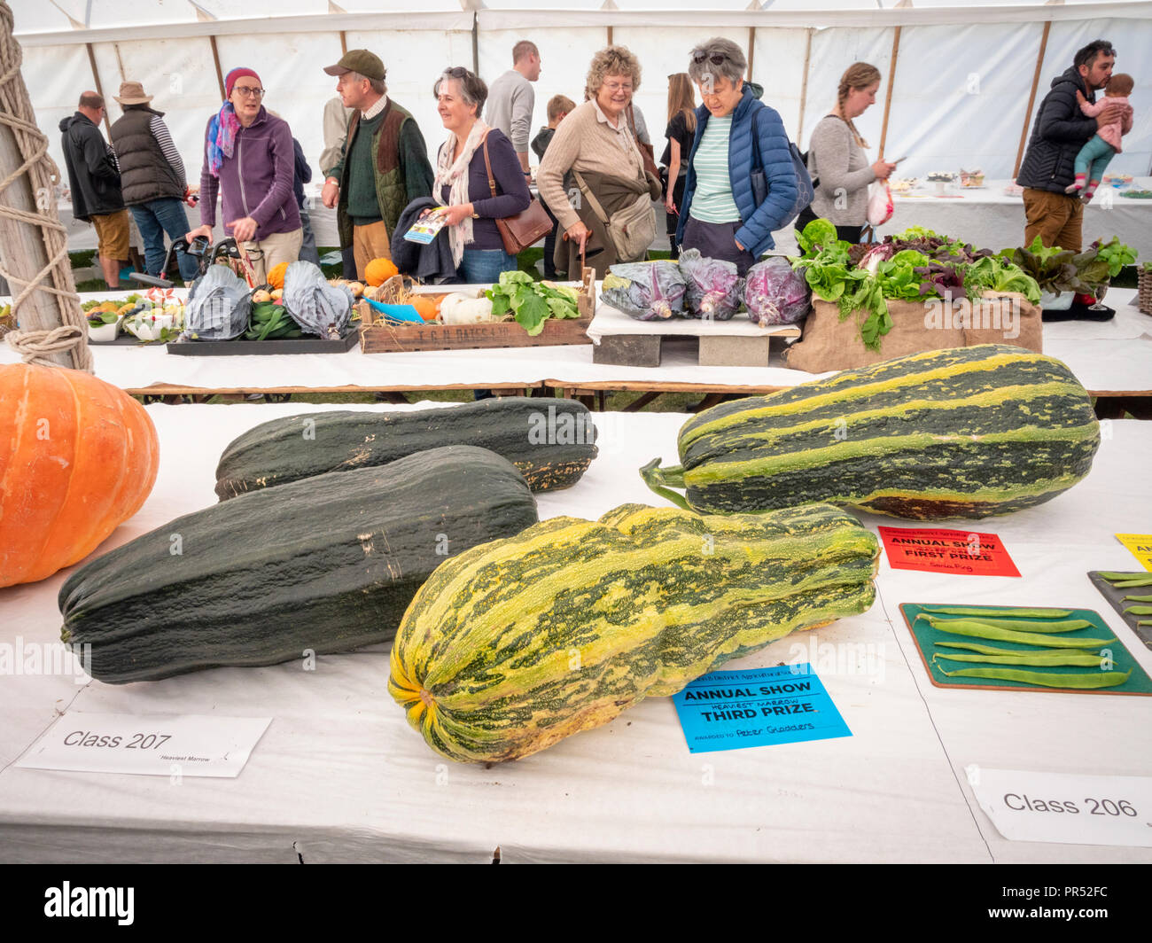 Huge marrow hi-res stock photography and images - Alamy