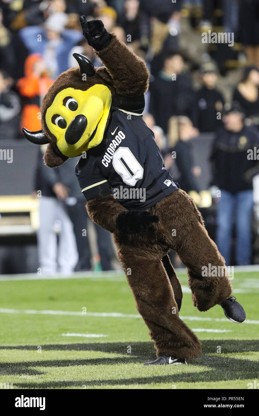 Buffalo chip hi-res stock photography and images - Alamy