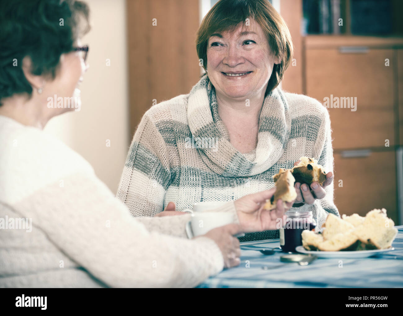 Smiling senior women having nice conversation while tea drinking Stock ...