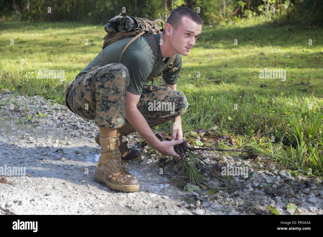 A U.S. Marine with India Company, Marine Combat Training Battalion ...