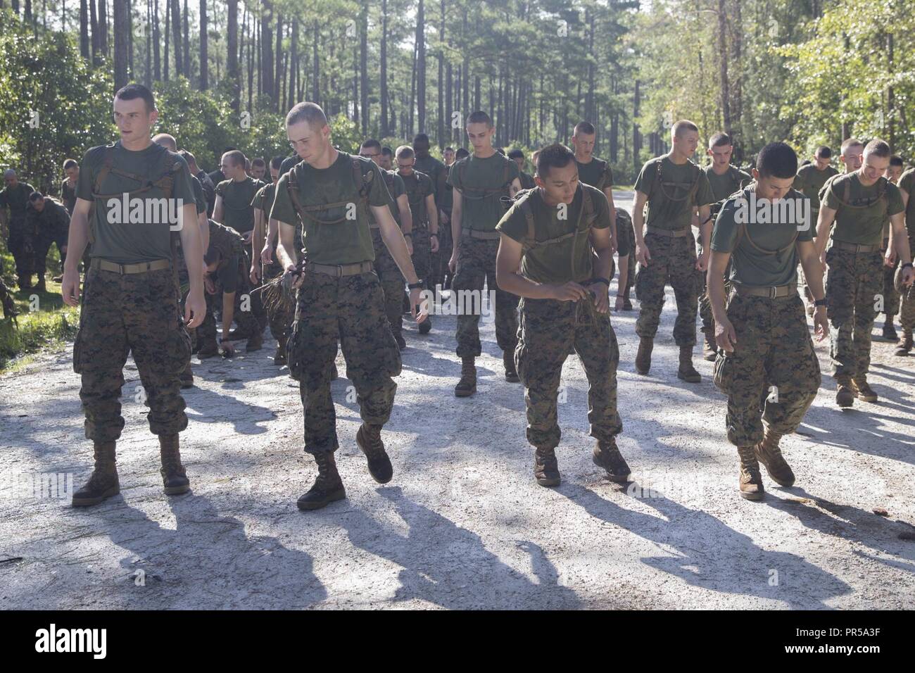 Camp devil dog hi-res stock photography and images - Alamy