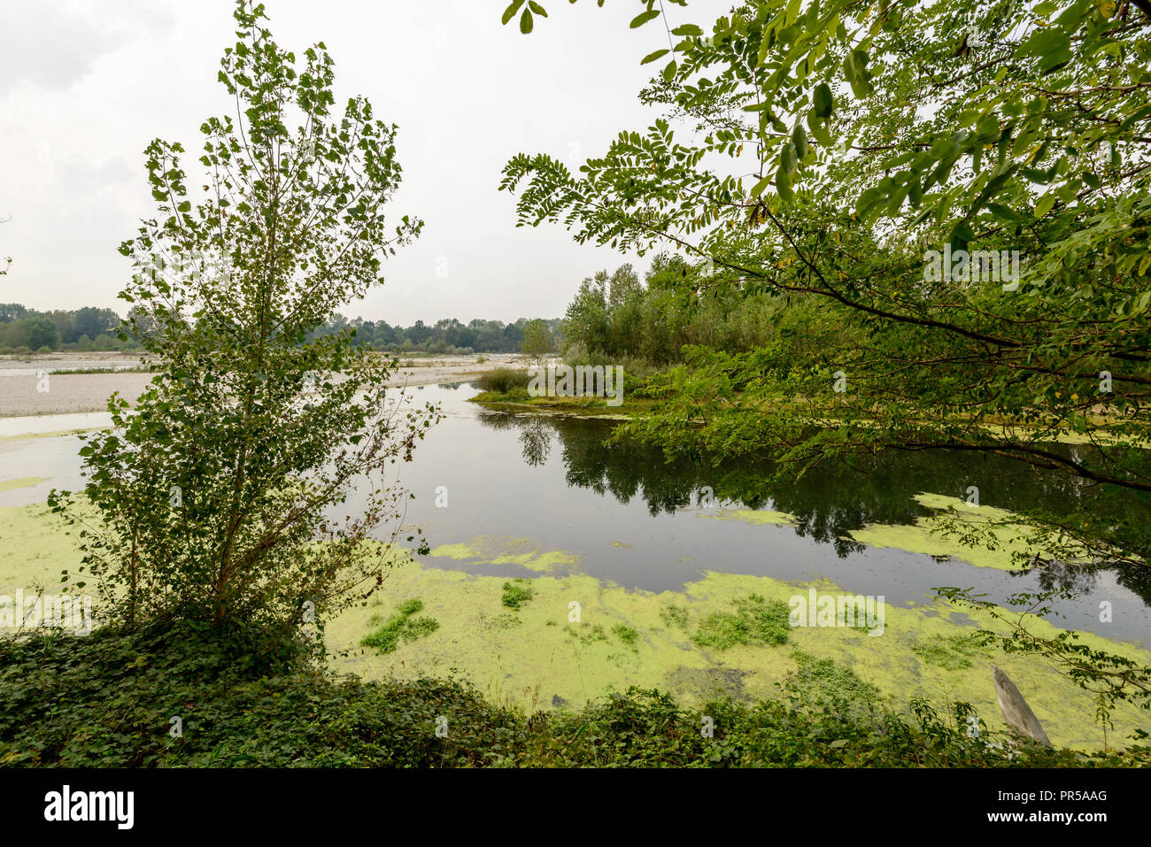 Oxbow lake and river hi-res stock photography and images - Alamy