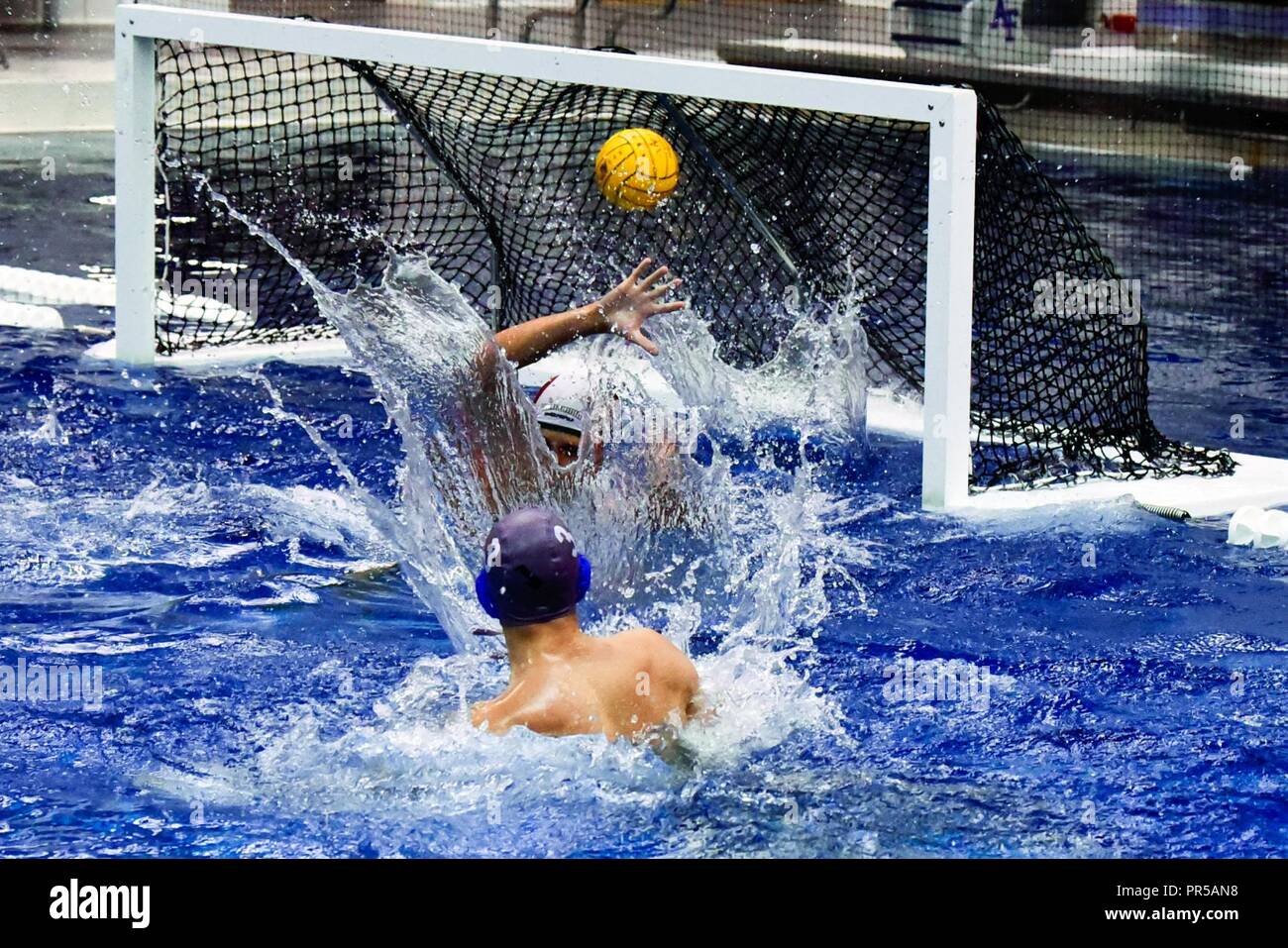 Us water polo hi-res stock photography and images - Alamy