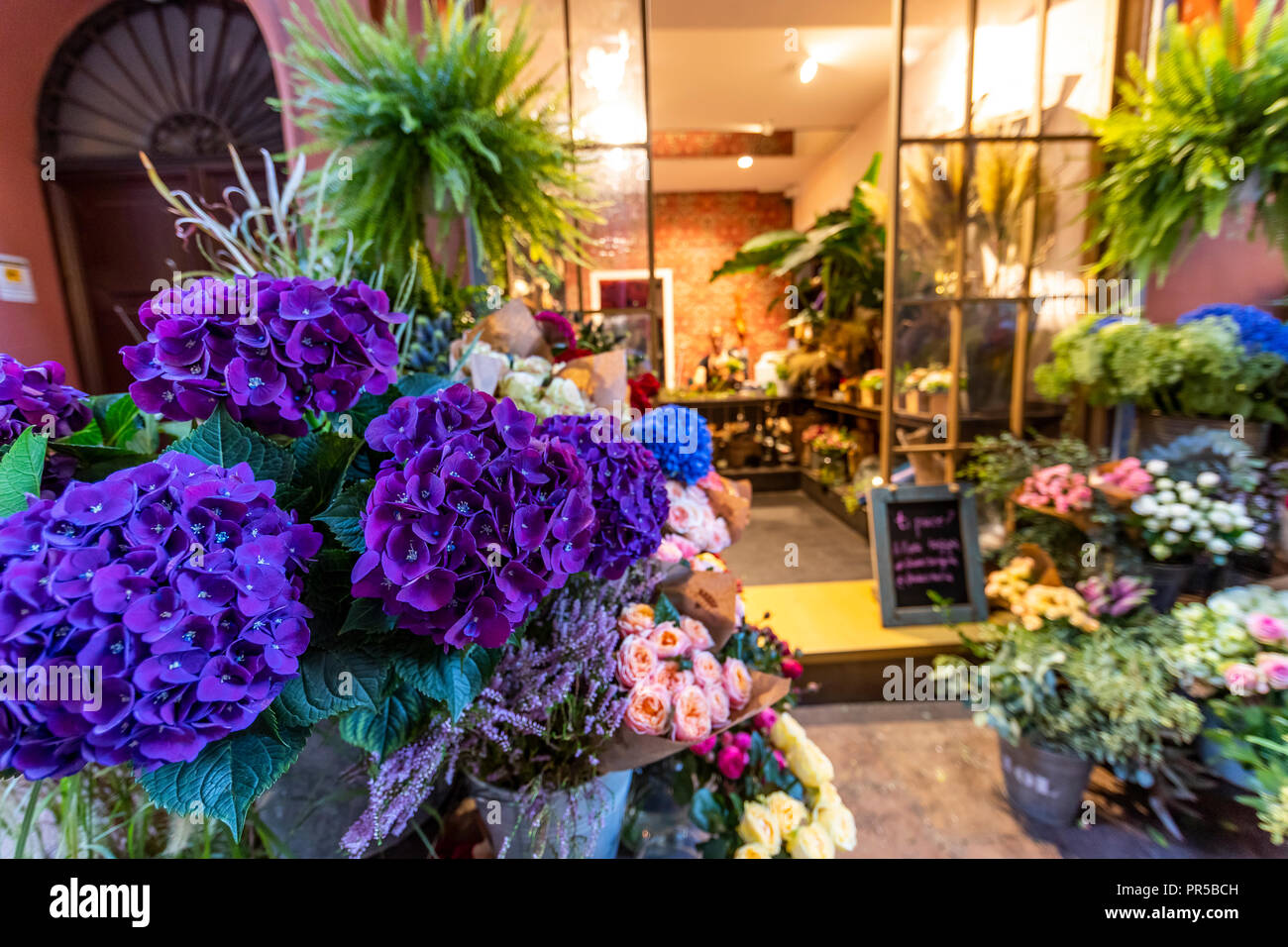 Fridas italian flower stores hi-res stock photography and images - Alamy