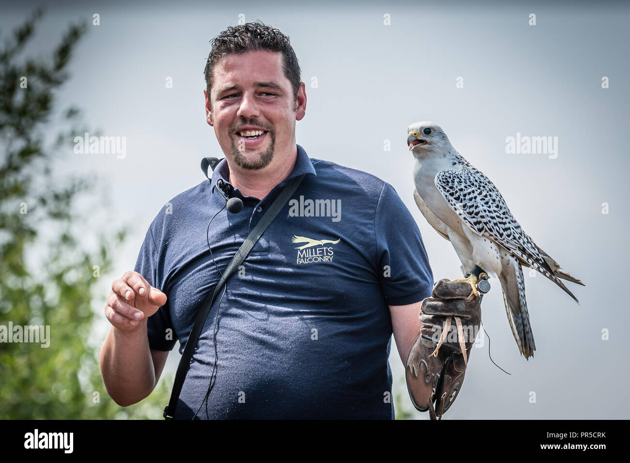 Millets Falconry Centre Stock Photo - Alamy