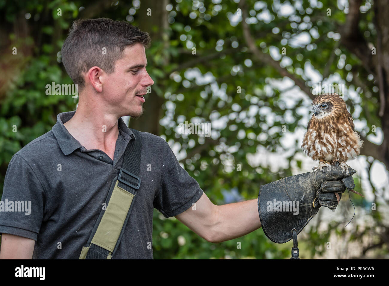 Millets Falconry Centre Stock Photo - Alamy