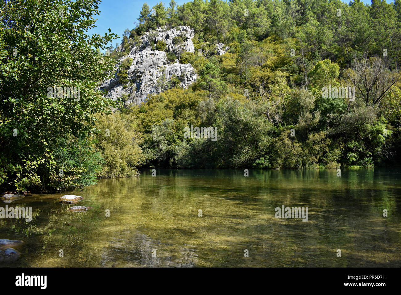 Forest river reflection autumn landscape. Autumn forest river water ...