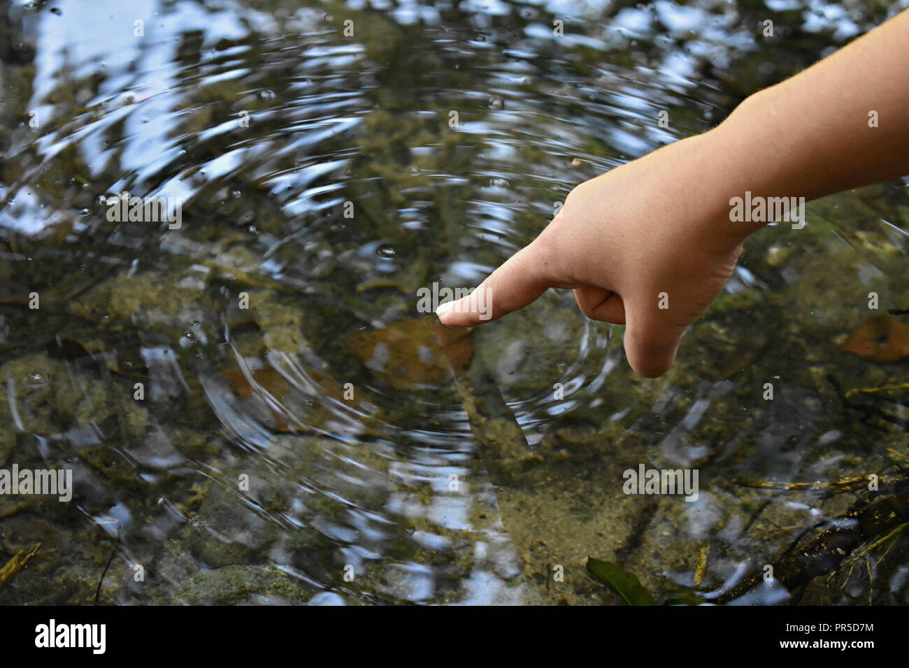 Hand touching nature hi-res stock photography and images - Alamy