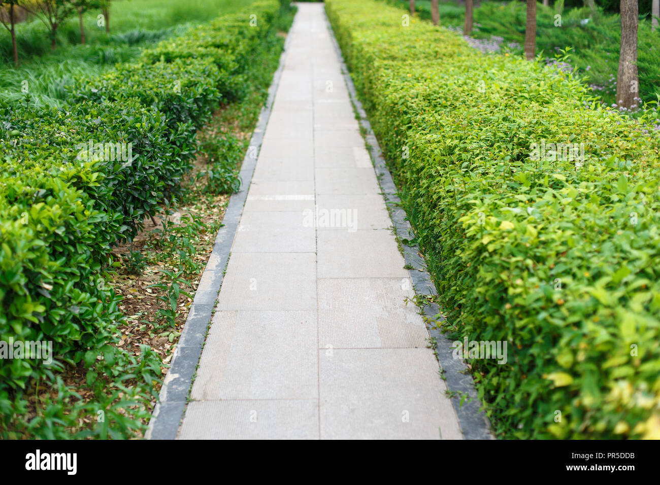 Arrow straight sidewalk hi-res stock photography and images - Alamy