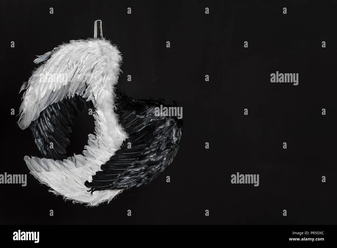 black and white wings on a black background, symbol of fight, bad and ...