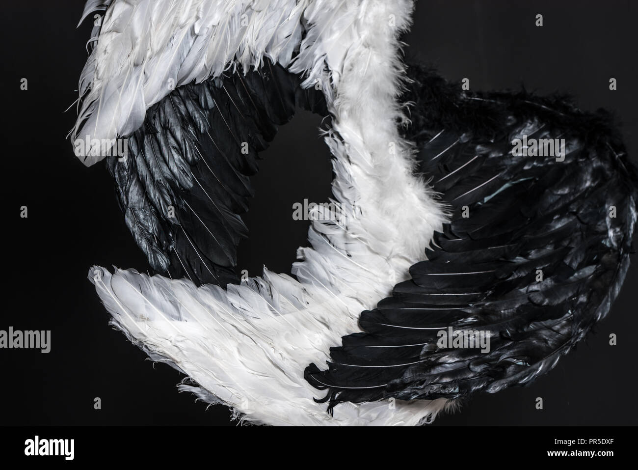 black and white wings on a black background, symbol of fight, bad and ...