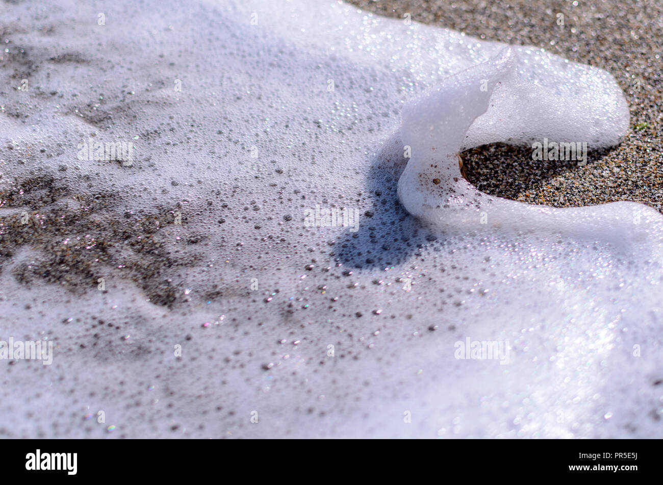 Sea shell on the beach with waves foam Stock Photo - Alamy