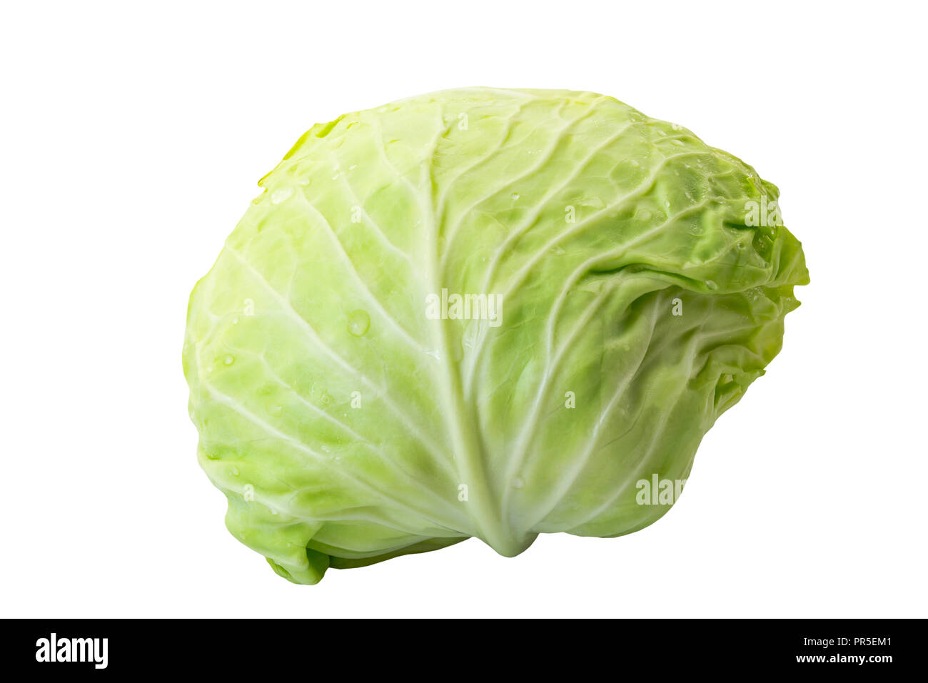 Green cabbage isolated on white background, clipping path included ...