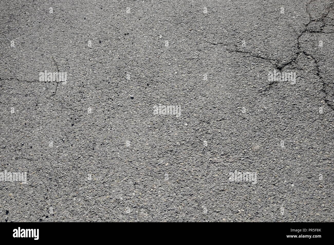 Texture of the asphalt path Stock Photo - Alamy