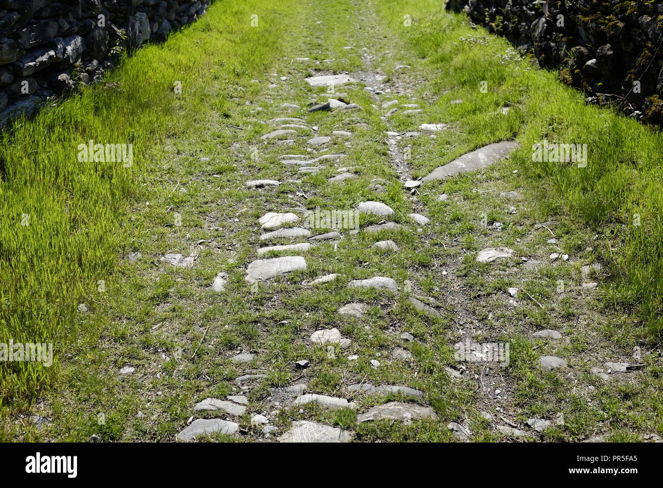 Texture of the rock path Stock Photo - Alamy
