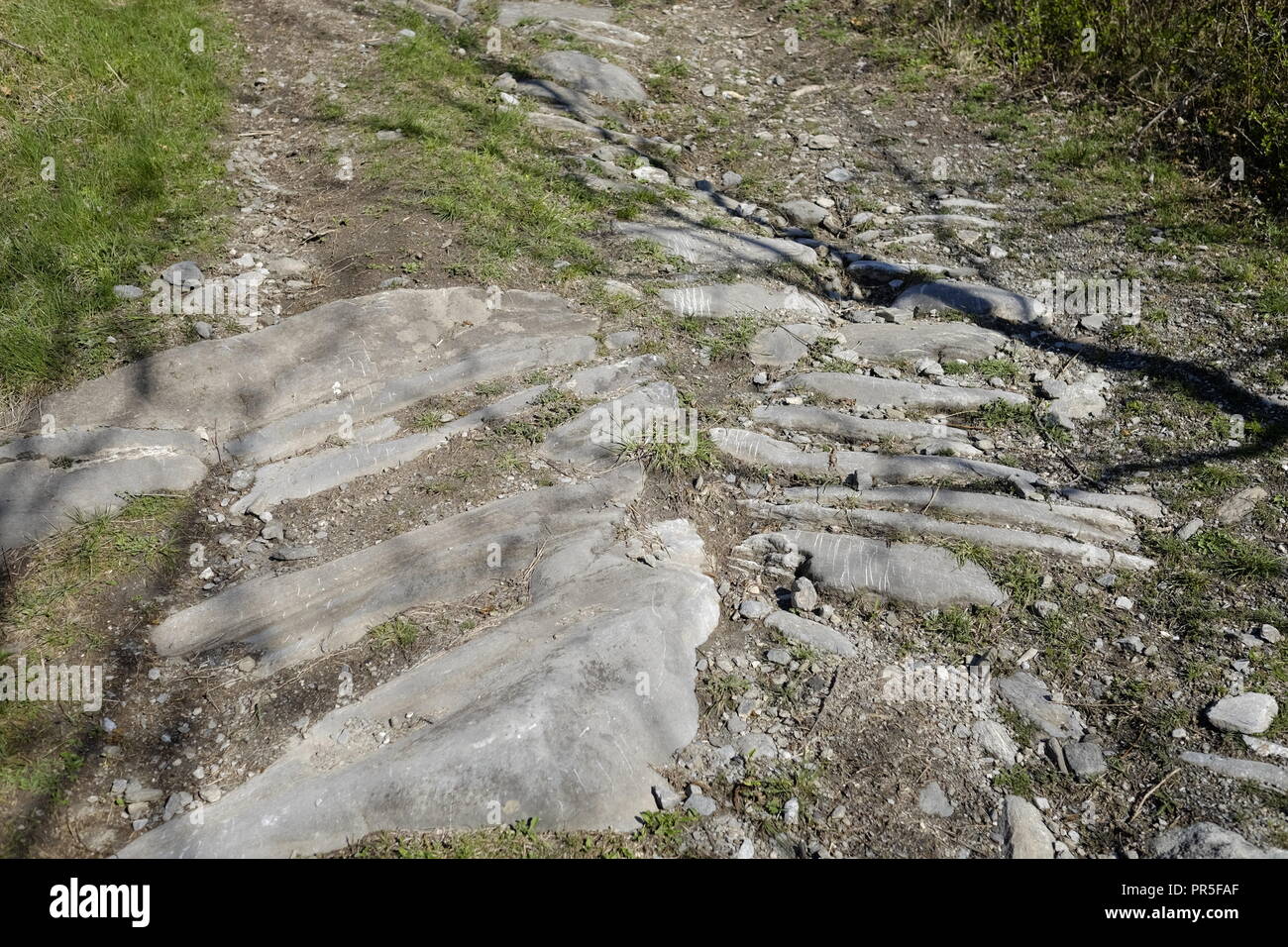 Texture of the rock path Stock Photo - Alamy