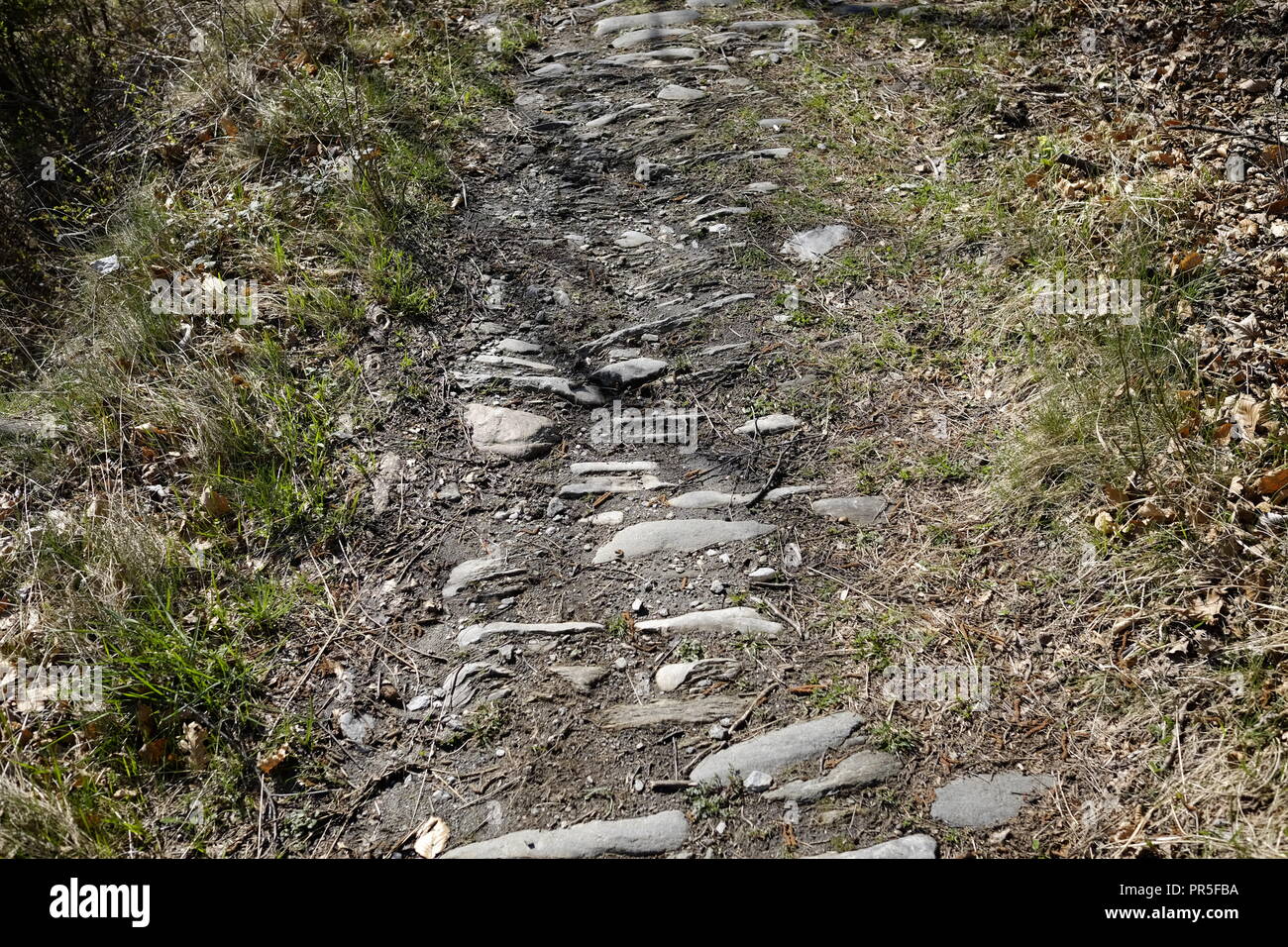 Texture of the rock path Stock Photo - Alamy