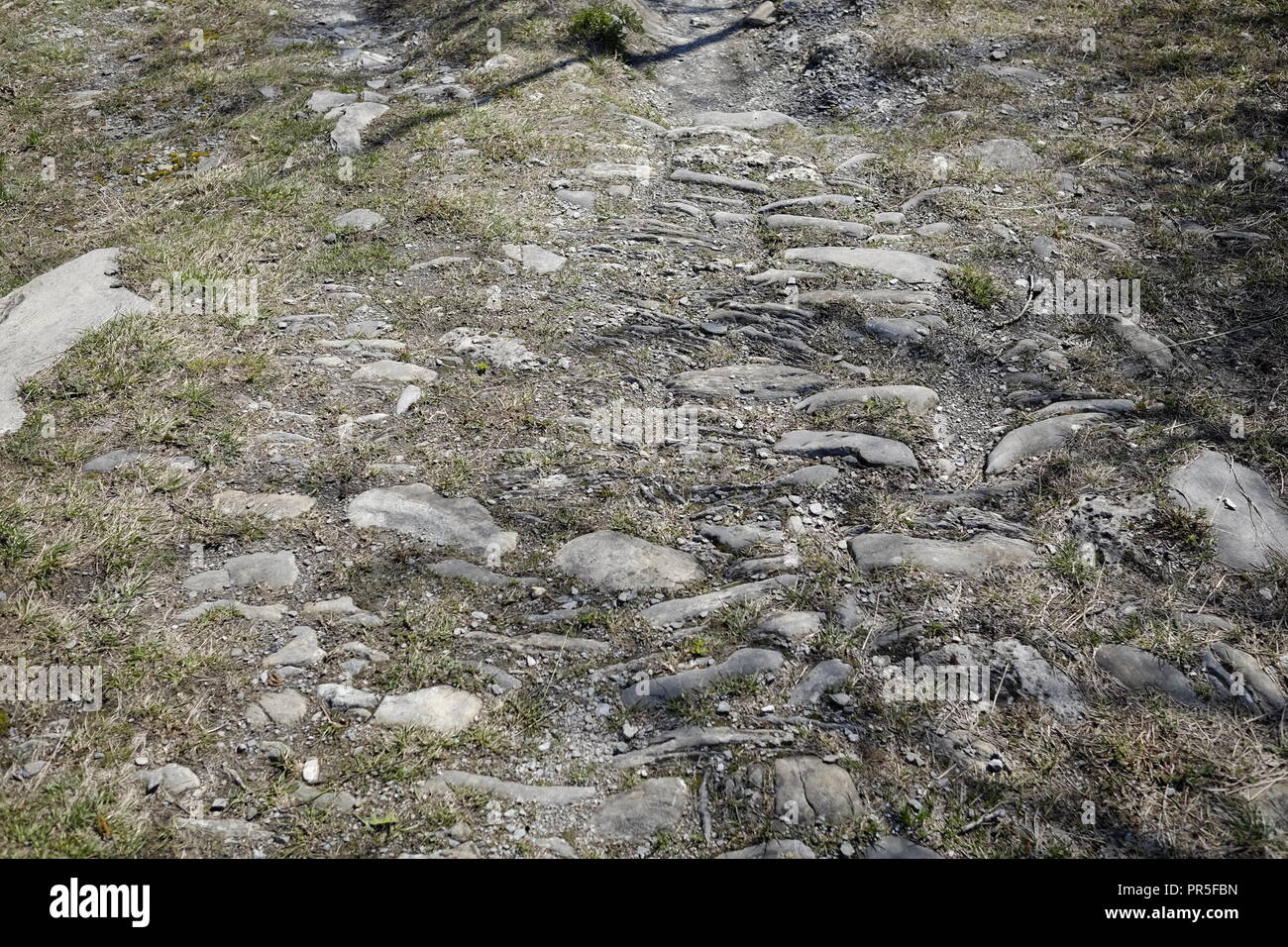 Texture of the rock path Stock Photo - Alamy