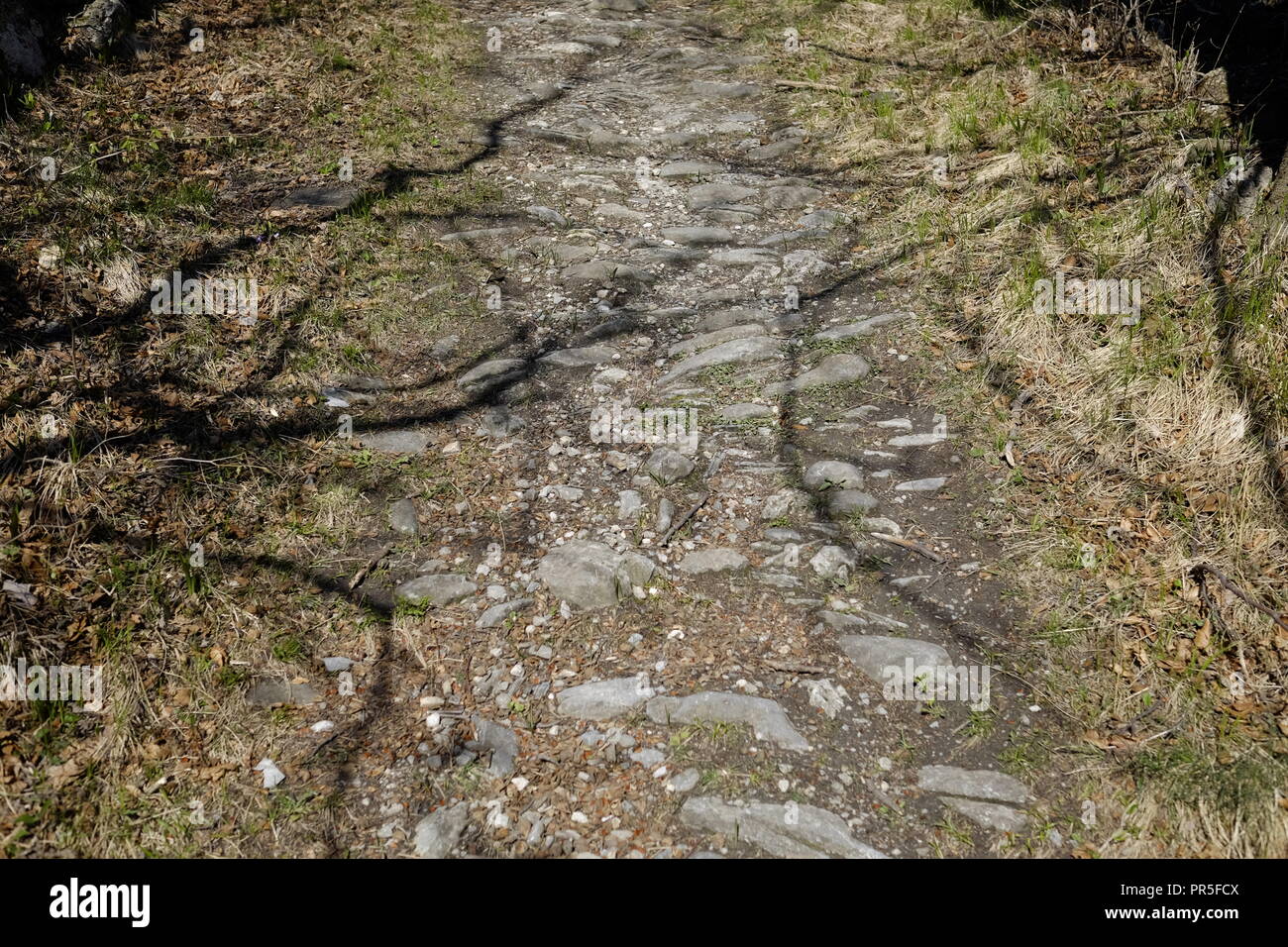 Texture of the dirt path Stock Photo - Alamy
