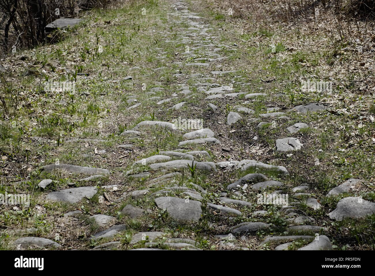 Texture of the rock path Stock Photo - Alamy