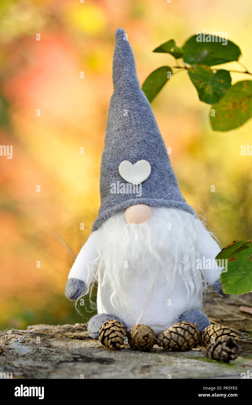 Autumn gnome hi-res stock photography and images - Alamy