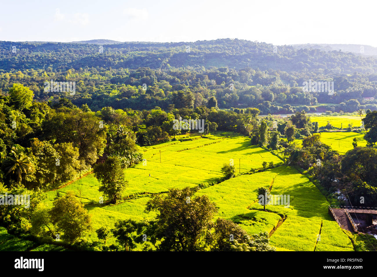 Green Paradise - It’s not every day you see natural beauty like this ...