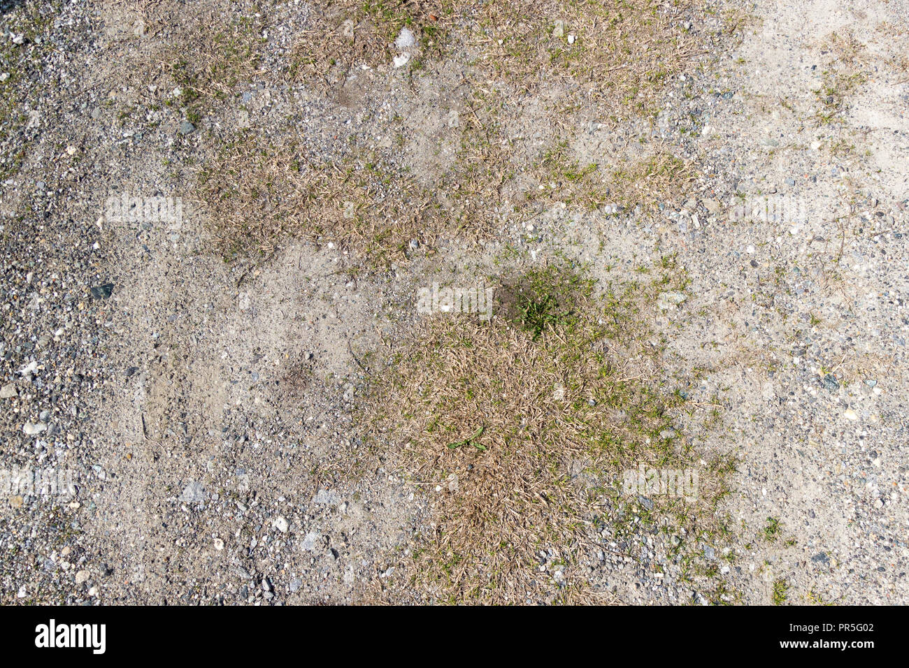 Texture of the dirt path Stock Photo - Alamy