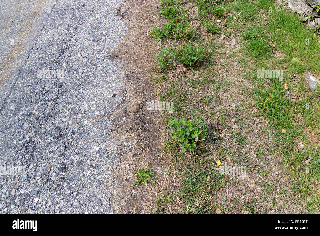 Texture of the dirt path Stock Photo - Alamy