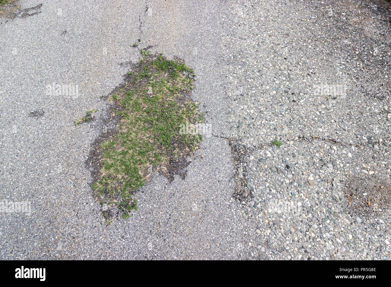 Texture of the asphalt path Stock Photo - Alamy