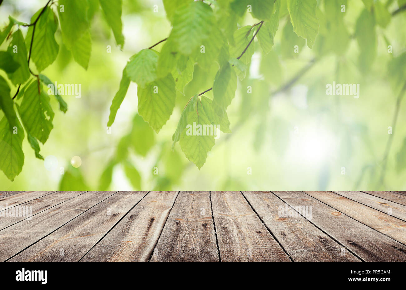 Wooden table background Stock Photo - Alamy