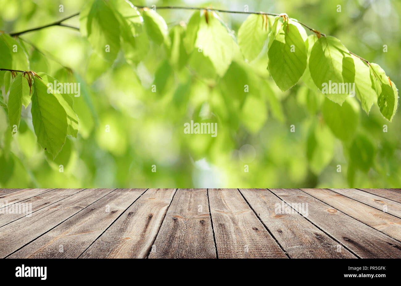 Wooden table background Stock Photo - Alamy