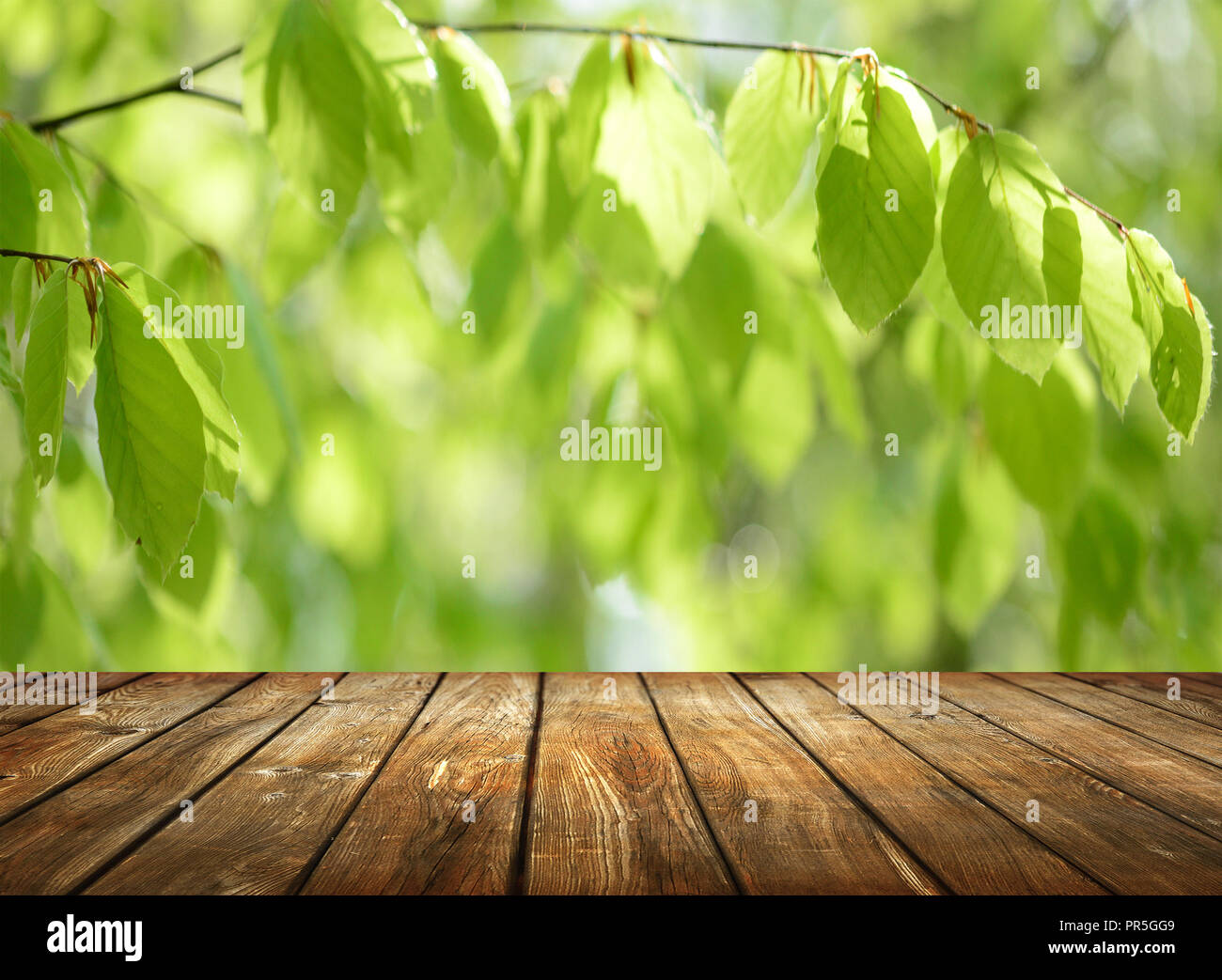 Wooden table background Stock Photo - Alamy