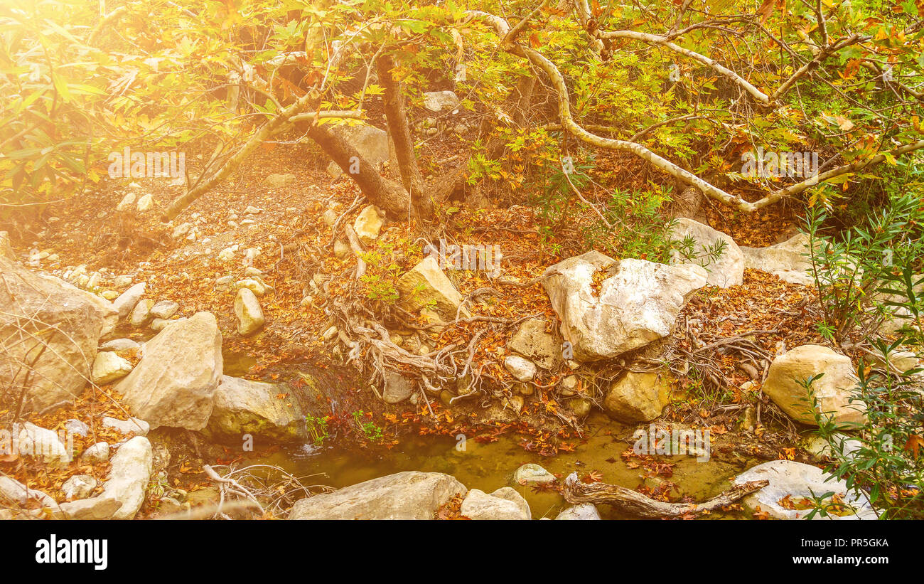 The Avakas canyon Stock Photo - Alamy