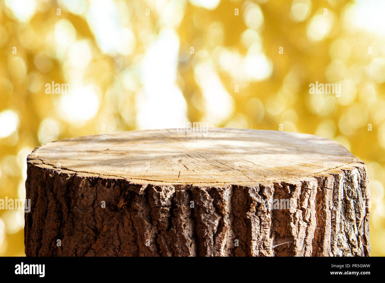 Empty tree trunk for display montags Stock Photo - Alamy